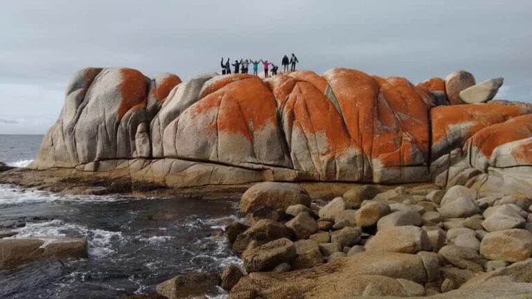 Tasmania: 7-Day West to East Tour - Exploring the Detailed Itinerary