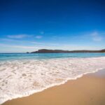 Tasmania: Private Luxury Tour with Custom Itinerary - Who Will Love This Tour?