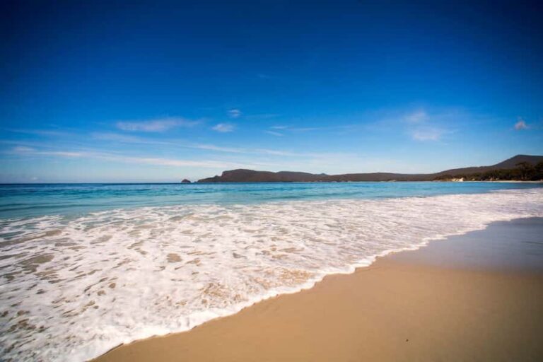 Tasmania: Private Luxury Tour with Custom Itinerary - Who Will Love This Tour?