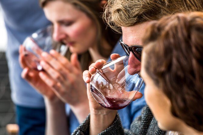 Tasmanian Premium Wine Tour with Tasmanian Cheese Platter - Transportation and Group Experience