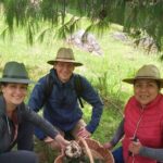 Taste and Tradition Acaxochitlán Culinary Tour from Mexico City - A Complete Overview of the Acaxochitlán Culinary Tour