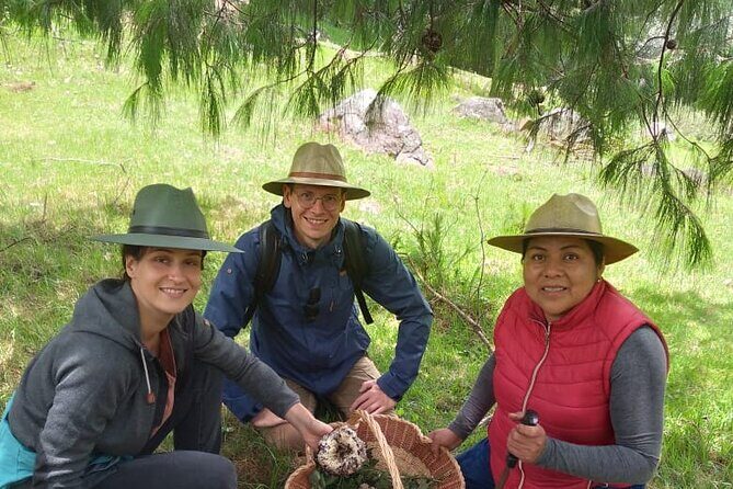 Taste and Tradition Acaxochitlán Culinary Tour from Mexico City - A Complete Overview of the Acaxochitlán Culinary Tour