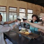 Tasting of 5 wines and tour at the winery Rondo del Valle - Practical Details for Planning