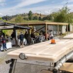 Taumarunui: Forgotten World Rail Cart Tour with Lunch - A Thorough Breakdown of the Tour Experience