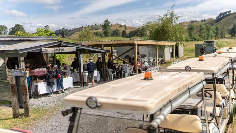 Taumarunui: Forgotten World Rail Cart Tour with Lunch - A Thorough Breakdown of the Tour Experience