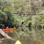 Taup: Hidden Lake Kayak Tour with Sunken Forest Views - The Magic of the Sunken Forest