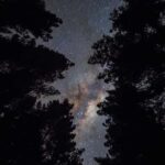 Tauranga: Evening Big Kanu Glowworm Tour - Authentic Perspectives from Reviewers