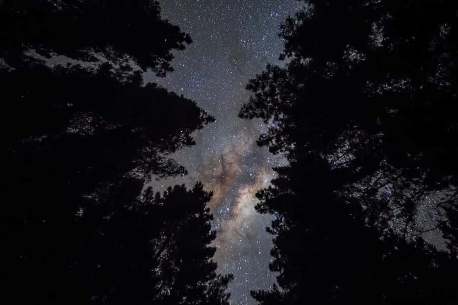 Tauranga: Evening Big Kanu Glowworm Tour - Authentic Perspectives from Reviewers