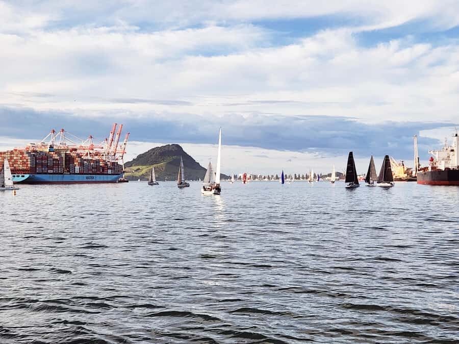 Tauranga Harbour Cruise - The Cultural Highlights