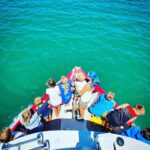Tauranga: Mount Maunganui Harbour Sightseeing Cruise - Practical Details and Tips
