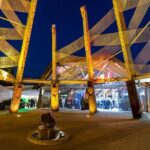 Tauranga Private Excursion: Rotorua -Te Puia-Geysers & Kiwi's - Analyzing Value: Is It Worth the Price?