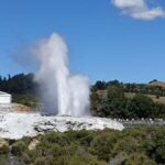 Tauranga: Rotorua Redwoods Tour & Maori Village Experience - Transport, Comfort, and Convenience