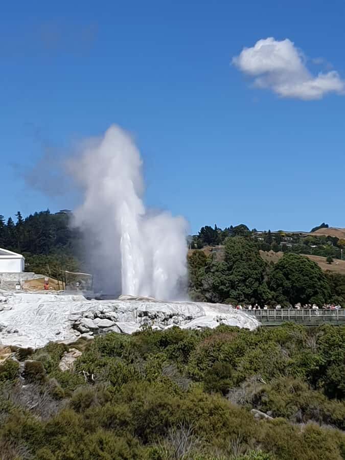 Tauranga: Rotorua Redwoods Tour & Maori Village Experience - Transport, Comfort, and Convenience