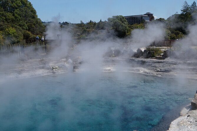 Tauranga Shore Excursion: Rotorua Highlights - A Closer Look at the Itinerary and Its Value