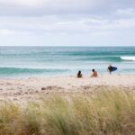 Tauranga Shore Excursion: Top Half Day Curated Highlights Tour - Authentic Feedback: A Mix of Raves and Rants