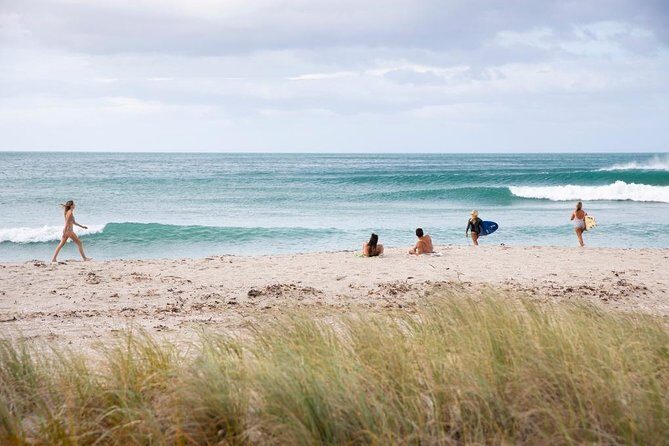 Tauranga Shore Excursion: Top Half Day Curated Highlights Tour - Authentic Feedback: A Mix of Raves and Rants