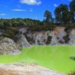 Tauranga: Wai-o-Tapu with Redwood Forest Walk or Forest Spa - The Details That Matter