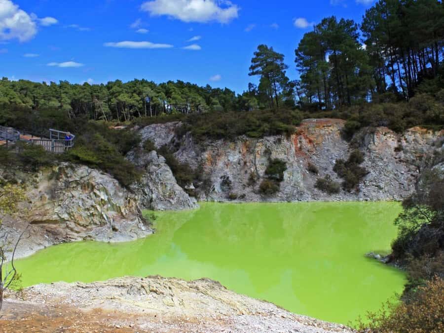 Tauranga: Wai-o-Tapu with Redwood Forest Walk or Forest Spa - The Details That Matter