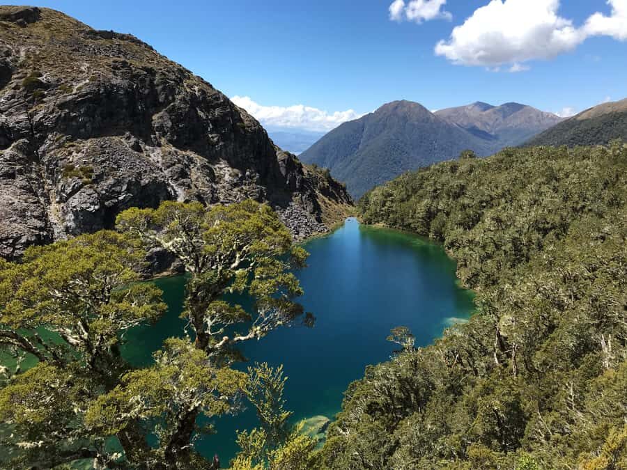 Te Anau: 30-Minute Fiordland National Park Scenic Flight - Practical Details and Considerations