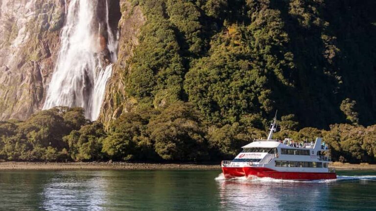 Te Anau: Milford Sound Coach & Cruise with Farm Experience - Practical Details and Tips