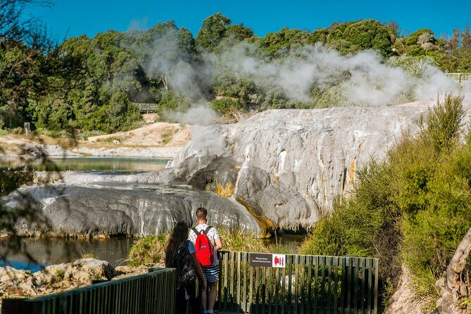 Te Puia Rotorua Experience with Optional Activities  Ex Auckland - The Sum Up: Who Is This Tour Perfect For?