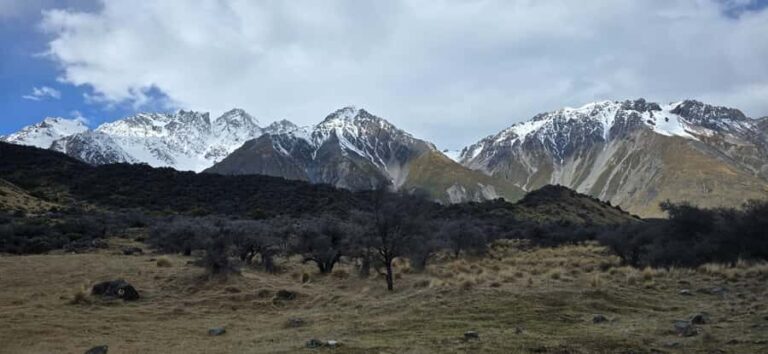 Tekapo to Mt. Cook National Park Day Tour with Driver - Practical Details and Logistics