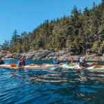 Telegraph Cove: Day Trip Kayaking Tour - Final Thoughts
