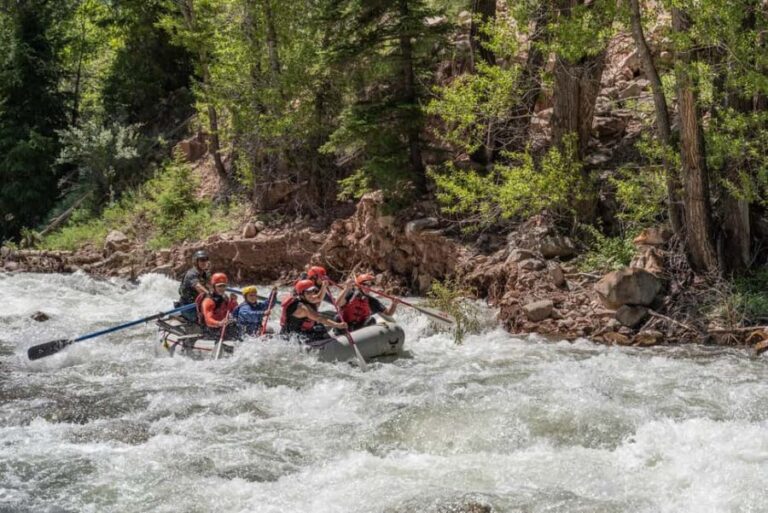 Telluride 1 Day Rafting Trip with Lunch - San Miguel River - What Makes This Trip Stand Out?