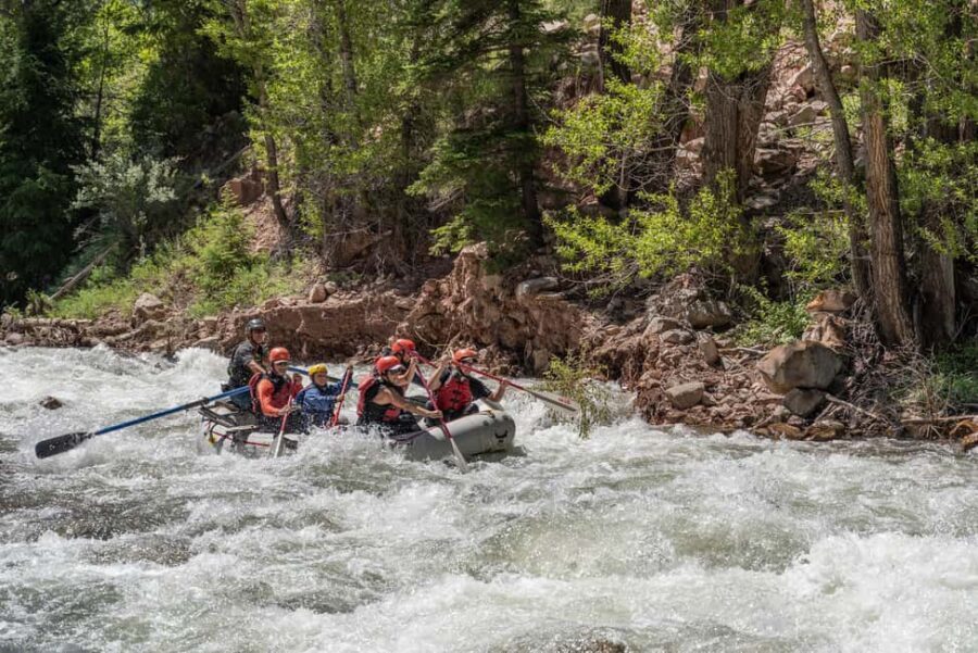 Telluride 1 Day Rafting Trip with Lunch - San Miguel River - What Makes This Trip Stand Out?