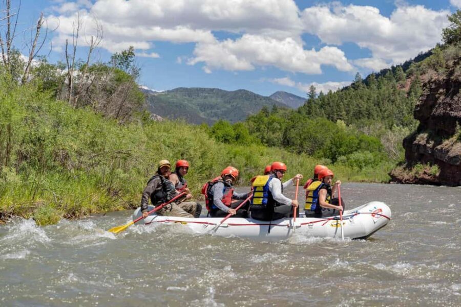 Telluride Afternoon Half Day Rafting Trip - San Miguel River - The Scenic Route: From Mountains to Red Canyon