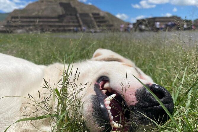 Teotihuacan Pyramids *NO CROWDS* Morning Tour... With Me, Angela! - Practical Details and Tips
