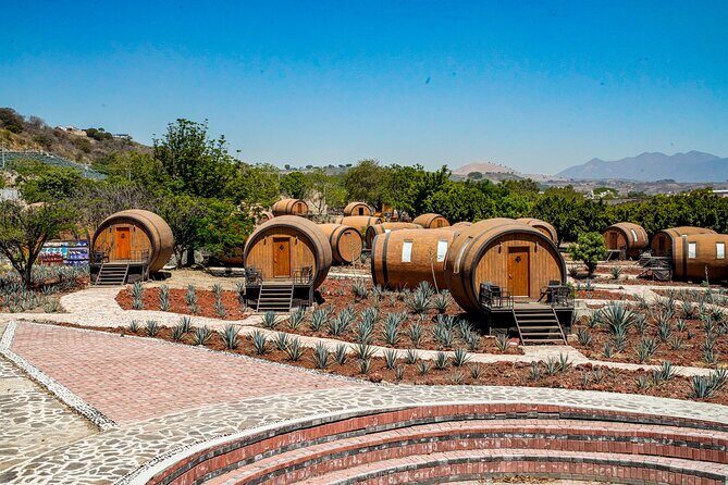 Tequila & Ancient Ruins: Private Day Trip from Puerto Vallarta - What Makes This Tour Stand Out?