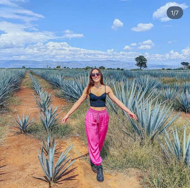 Tequila and Cantaritos Tour from Guadalajara - What’s Included and What to Expect
