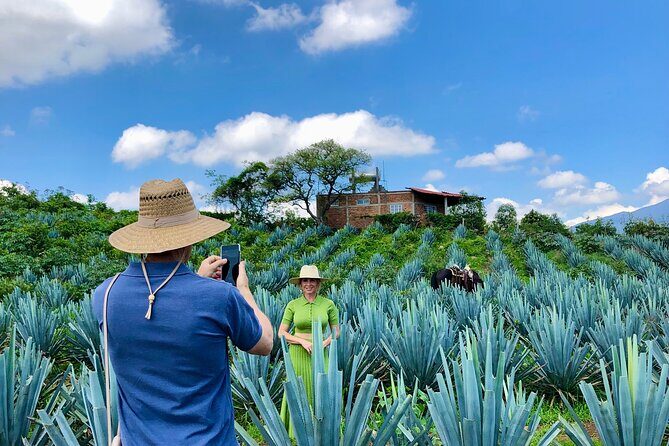 Tequila and Guachimontones Full Day Private Tour - The Sum Up