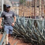 Tequila Day Trip - Practical Details and What to Expect