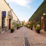 Tequila Full-Day Discovery Tour of Amatitan - The Sum Up: Is It Worth It?