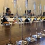 Tequila Full Experience! - The Experience from a Traveler’s Perspective