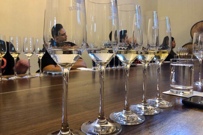 Tequila Full Experience! - The Experience from a Traveler’s Perspective