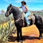 Tequila Pueblo Magico Adventure Day Trip from Puerto Vallarta - Why This Tour Offers Good Value