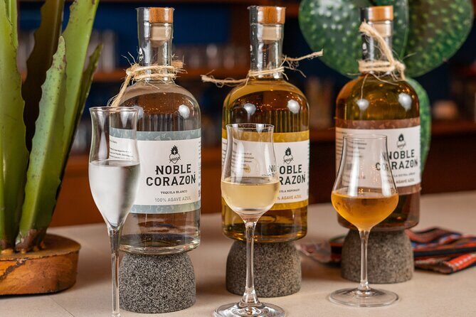 Tequila Tasting and Mixology Experience in Cancun - What You Can Expect: A Detailed Breakdown