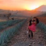 Tequila tour with tasting. - What’s Included and What’s Not?