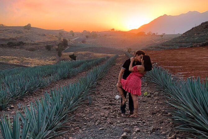 Tequila tour with tasting. - What’s Included and What’s Not?