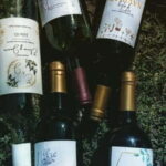 Tequisquiapan: UTV Adventure with Winery and Cheese Tasting - The Landscape and Views