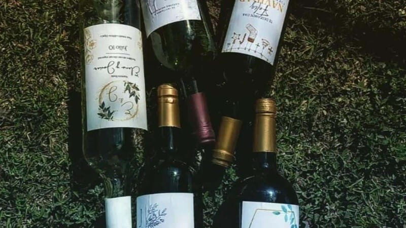 Tequisquiapan: UTV Adventure with Winery and Cheese Tasting - The Landscape and Views