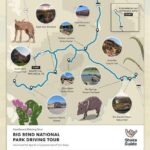 Texas and New Mexico Bundle 4 day Self Guided National Park Tours - Day 2: White Sands National Park — Surreal Dunes and Unique Trails