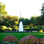 Texas Discovery Gardens General Admission - Final Thoughts: Is It Worth It?