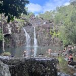 The Airlie Sightseeing Bus  (Cruise-Ship Friendly) - Who Should Consider This Tour?