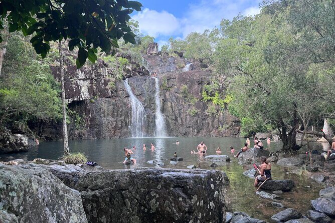 The Airlie Sightseeing Bus (Cruise-Ship Friendly) - Who Should Consider This Tour?