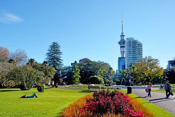 The best of Auckland private walking tour - Breakdown of the Itinerary: What to Expect