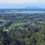 The Big Bay Tour with Te Puna Sculpture garden and Minden Views - Exploring Art and Nature at Te Puna Quarry Park